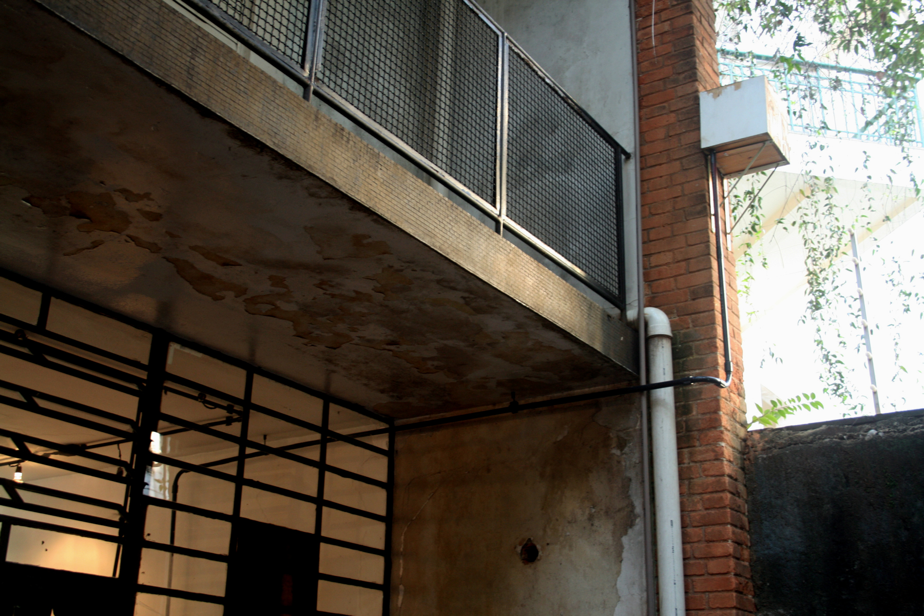 Conversas, rearranjo e fósseis | Coletor